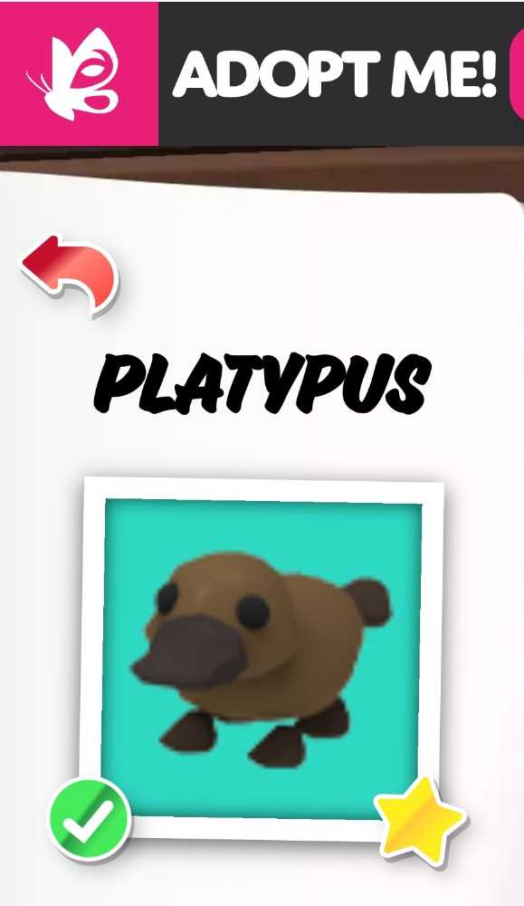 PLATYPUS ADOPT ME