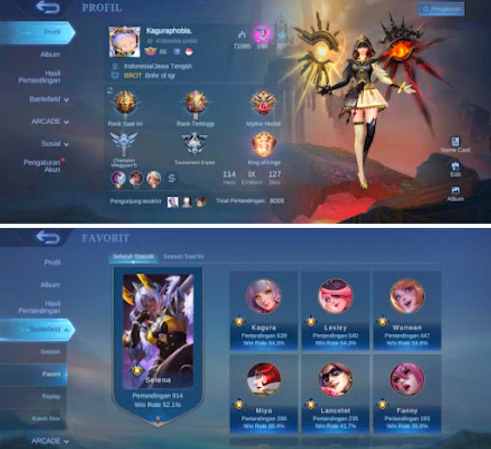 HERO 114|EMBLEM ALL MAX|SKIN 127|SKIN EPIC LIMITED SABER|3 SKIN EPIC ...