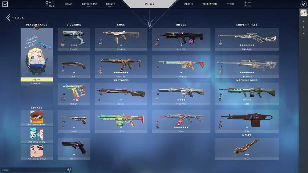 CODE 11 | ASIA/Oceania | 46 Skins and 8 Effect Skins | Valorant Account ...
