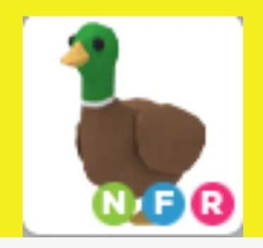 Nfr Drake Roblox Adopt Me