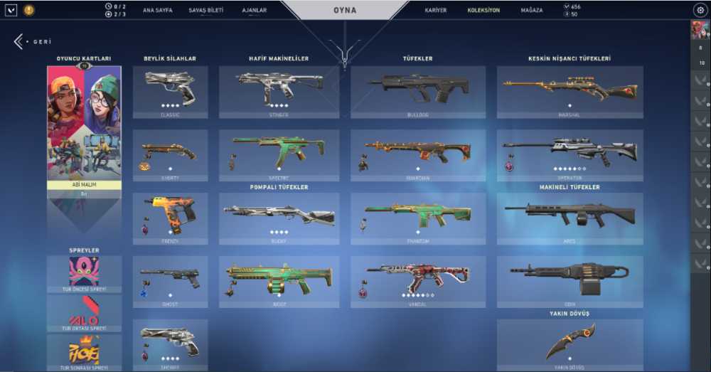 Valorant Battle Pass Karambit Account