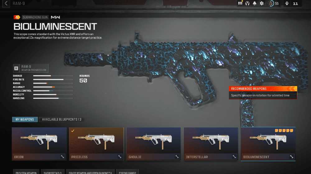 Interstellar, Borealis, Prestige, Top 250 and Priceless Blueprint Camos ...
