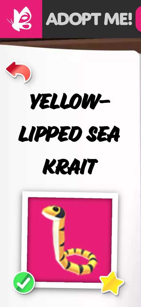 Yellow Lipped Sea Krait adopt me