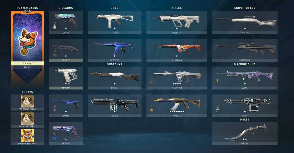 [AP]SPECIAL OFFER !!!(36 skins)