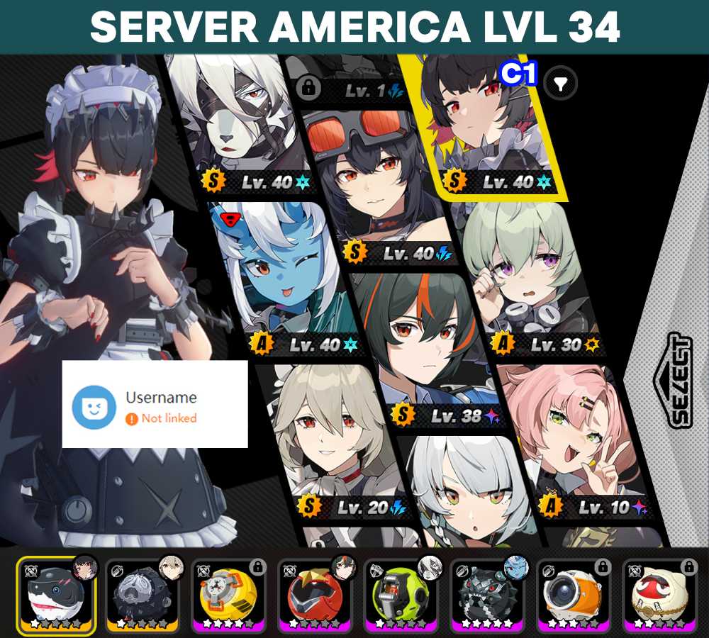 ⭐️SERVER AMERICA (NOT ASIA) LVL 34 USERNAME UNSET⭐️ Ellen C1 + Deep Sea Visitor + Zhu Yuan ...