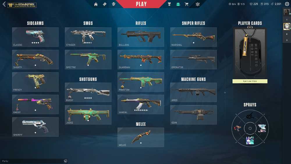 Ruin Dagger 20 Skins Including Prime vandal