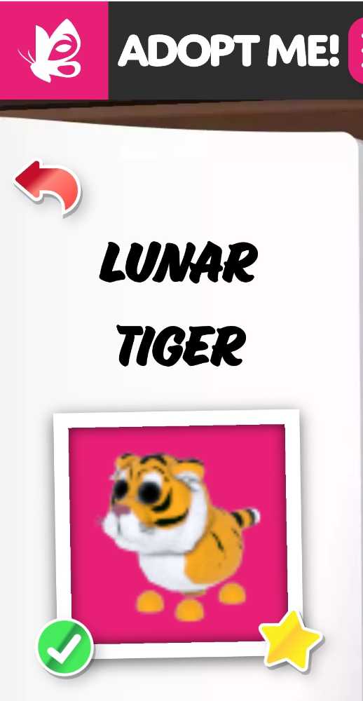 LUNAR TIGER FR