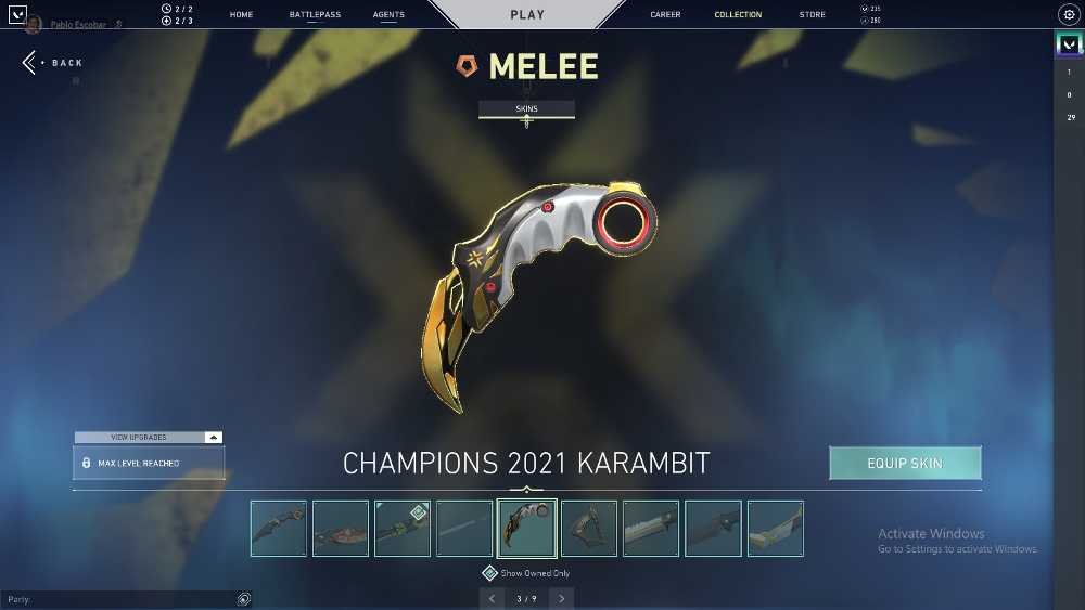 INSTANT DELIVERY |AP| CHAMPION KNIFE | 100+ SKIN