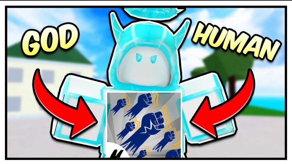 Blox Fruits | LV2450 + GODHUMAN + Valkyrie Helm & Mirror Fractal ...