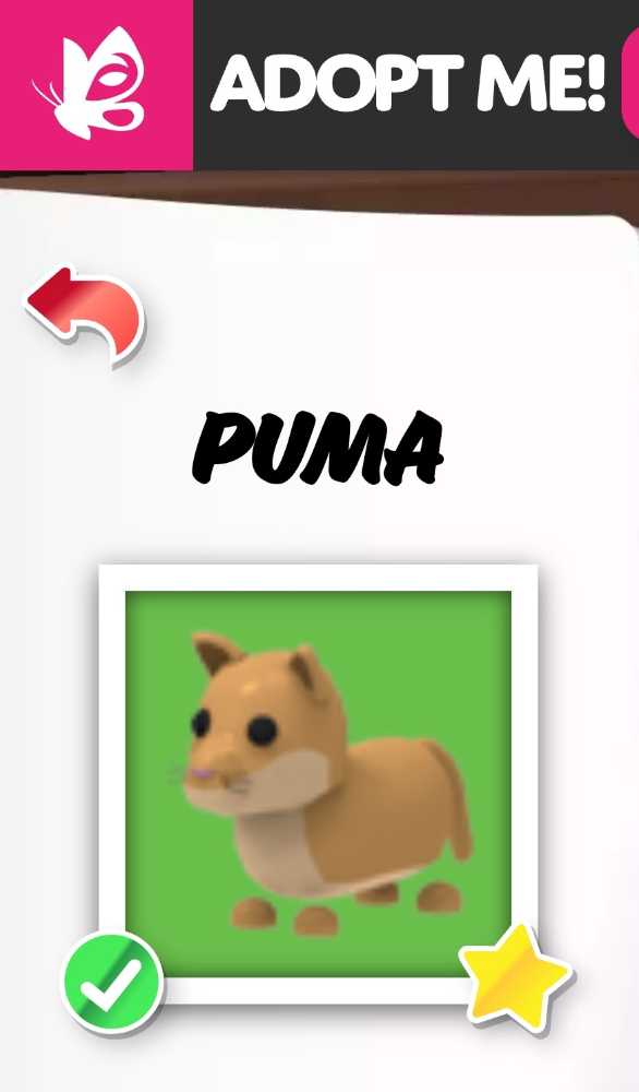 PUMA ADOPT ME