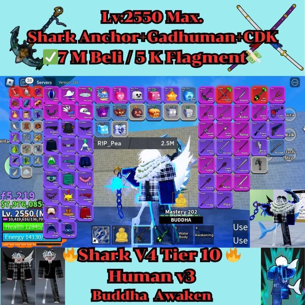 Account Blox Fruit Lv:2550 Max. Shark V4 Tier 10 Human v3 Buddha Awaken ...