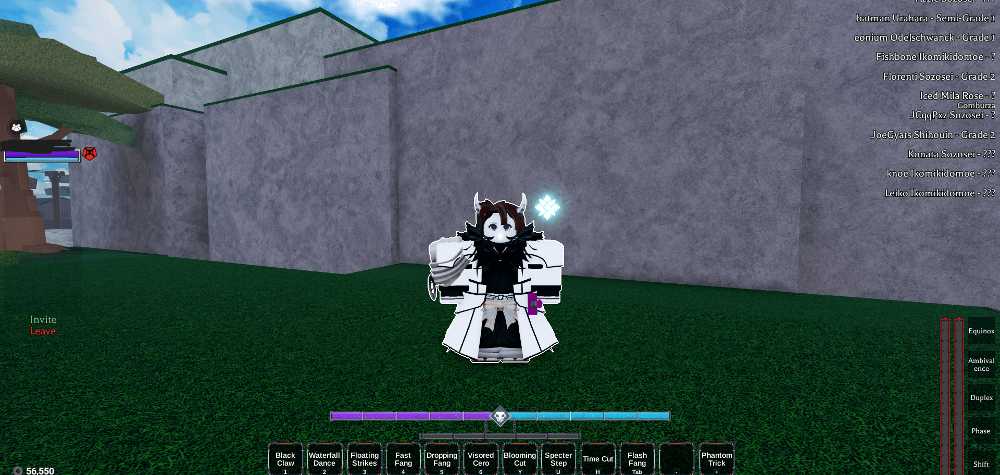 [Instant Delivery] True Vizard | Duality / Bankai Unlocked / Weapon ...