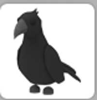 No potion Crow /-/ Adopt me /-/ Roblox