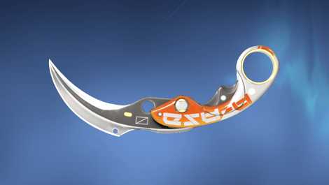 [EU] Valorant Velocity Karambit + TOP Skins Full Access