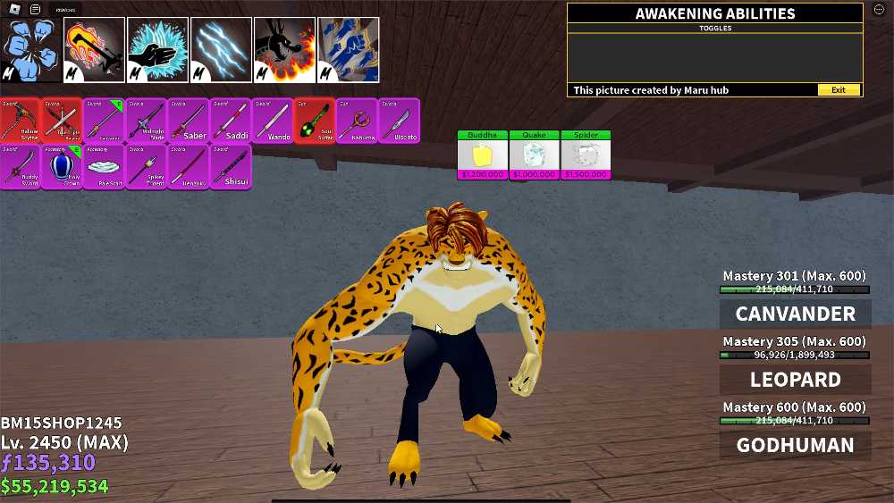 Blox Fruit Account Lv:2450Max | Awaken Leopard Human V3