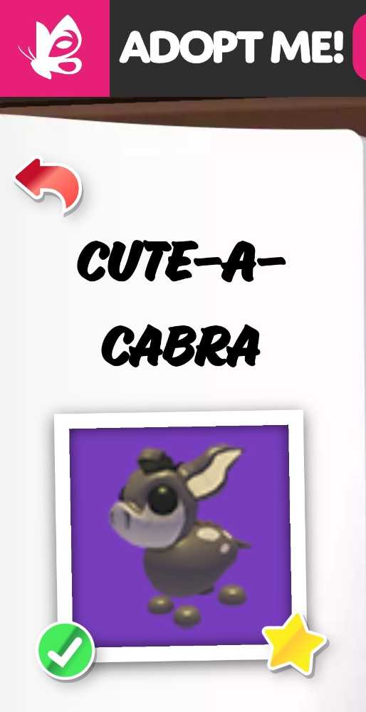 Cute A Cabra NFR