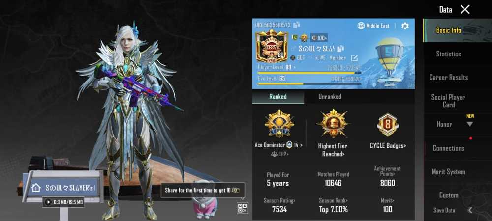 PUBG Mobile ID Level 80 with 10 Gun Lab