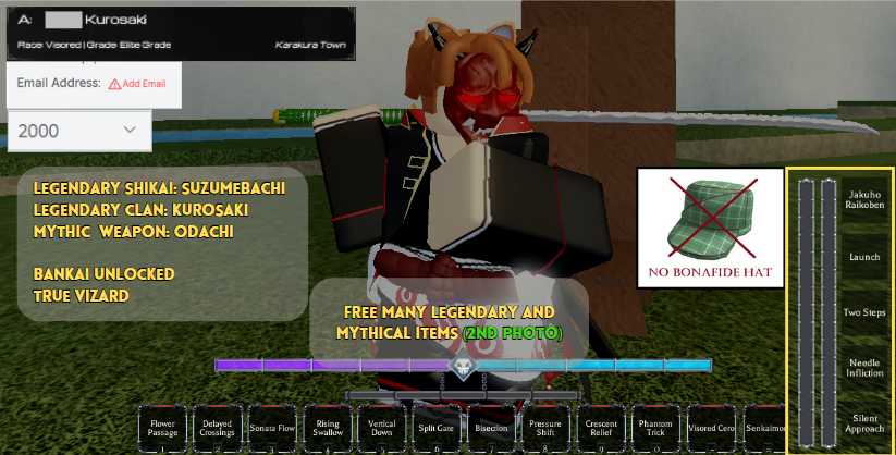 TYPE SOUL True Vizard (Instant Delivery / Suzumebachi / Bankai Unlocked ...