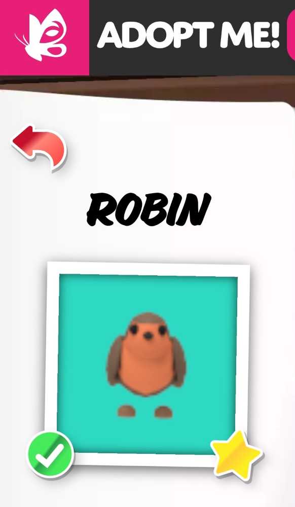 ROBIN ADOPT ME
