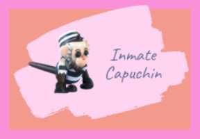 INMATE CAPUCHIN MONKEY FR