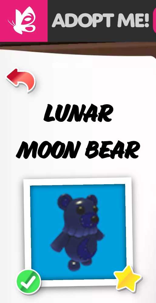 LUNAR MOON BEAR NFR