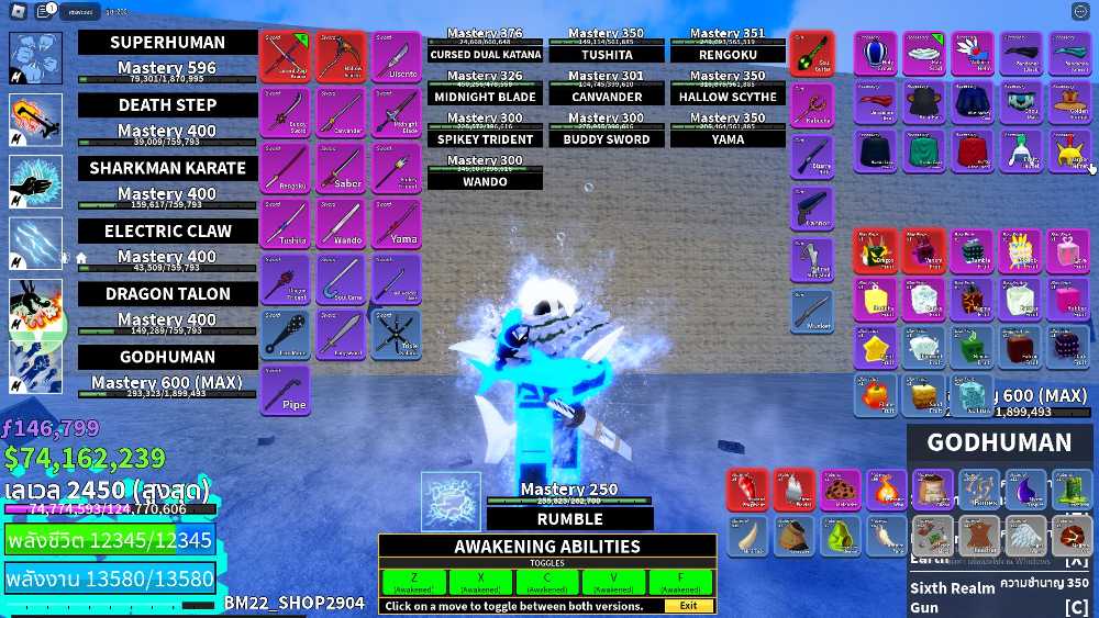 Blox Fruit Account Lv:2450Max | Max SHARK V4 (Tier 10) Awaken Rumble ...