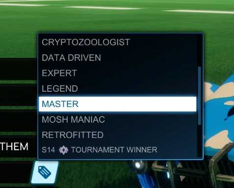 Champion Tournament Title Fennec BluePrint