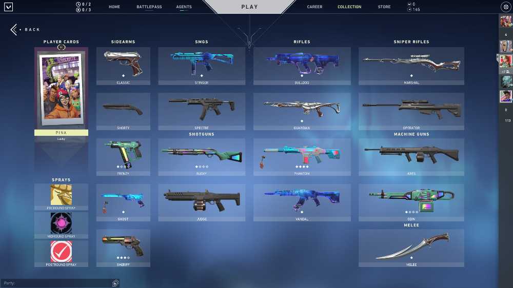 13 SKINS MAIL INCLUDED