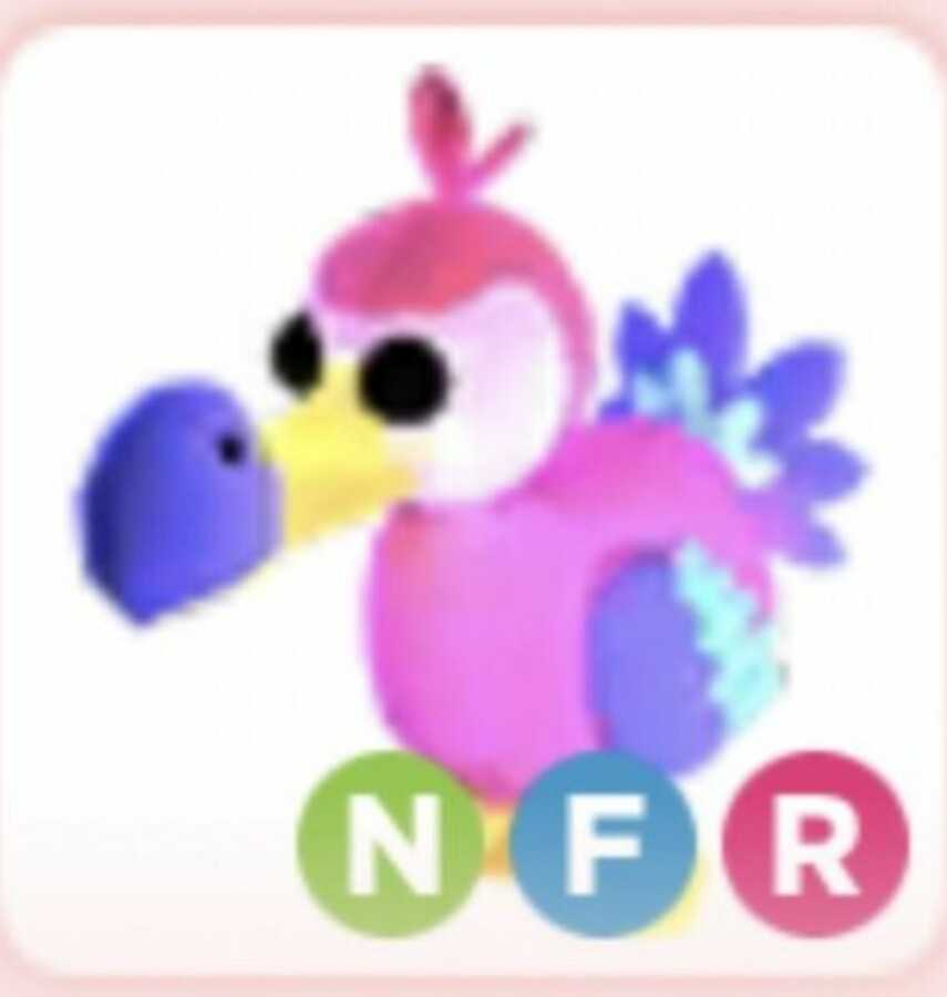 Nfr Dodo Roblox Adopt Me