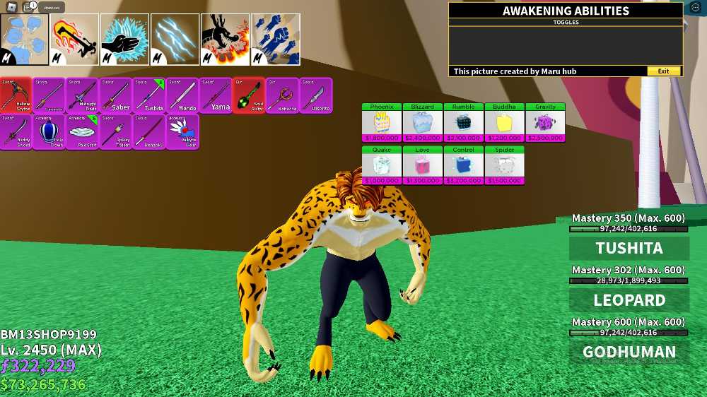 Blox Fruit Account Lv:2450Max | Awaken Leopard