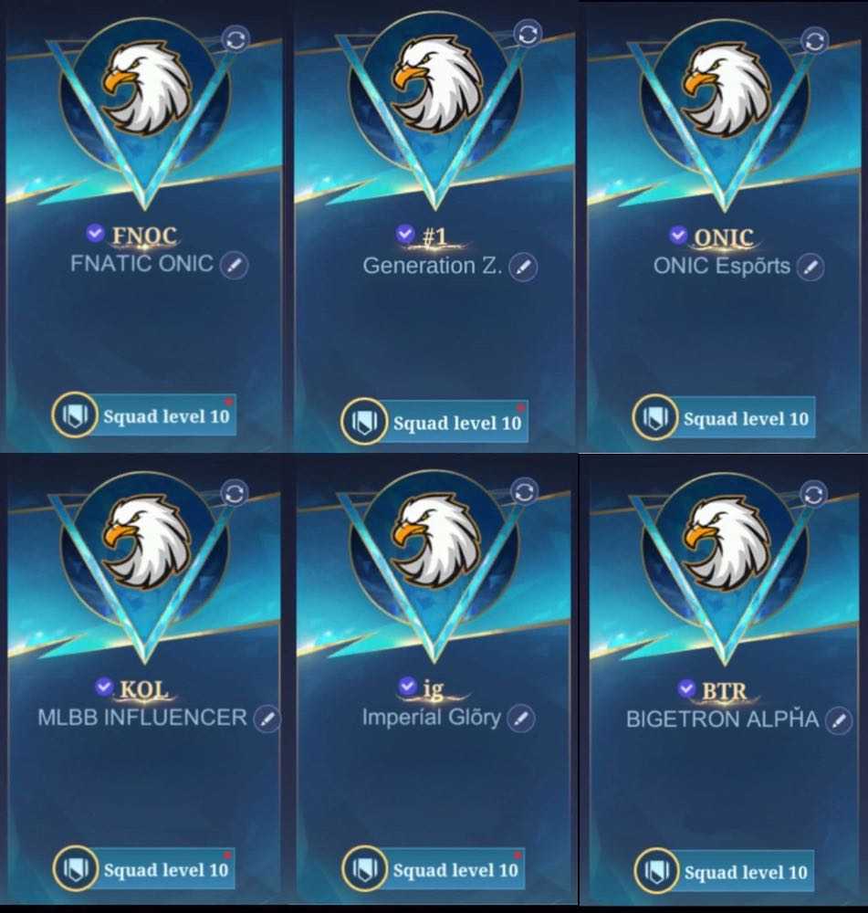 MEMBER VERIFY SQUAD MLBB - CHECK DESCRIPTION