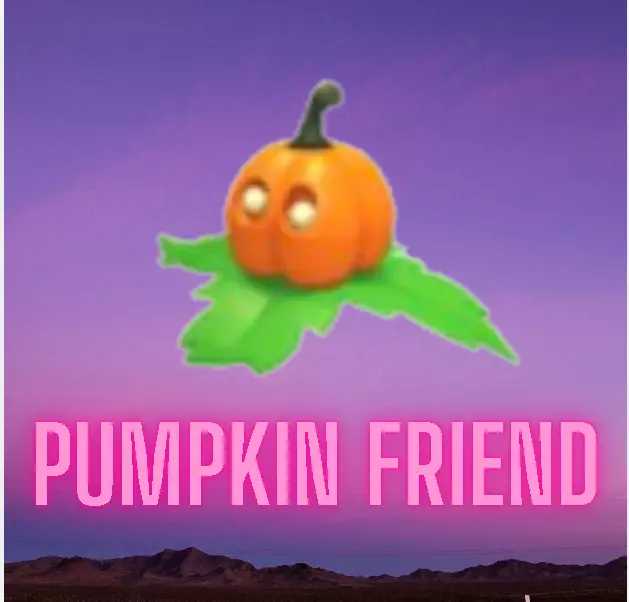 pumpkin friend nfr