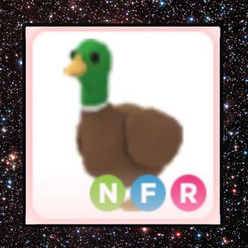 Drake NFR Adopt Me Pets Item Roblox