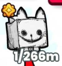 night terror cat - pets go