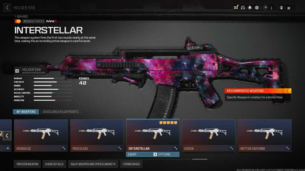 LEVEL 55 + INTERSTELLAR on all guns + all guns / weapons unlocked with ...