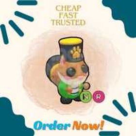 NFR Lunar Gold Tiger Neon Fly Ride | Adopt me