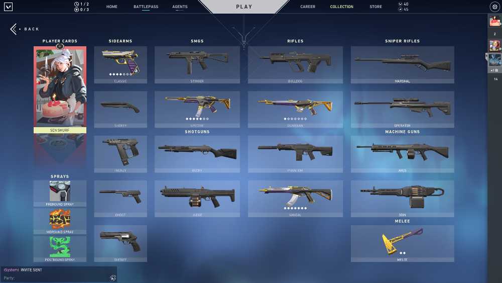 Valorant full prime bundle