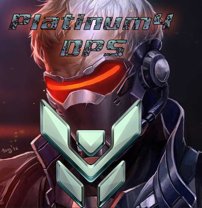 PC | Plat 5 Dps | All heroes unlocked | Free nickname change | Full ...