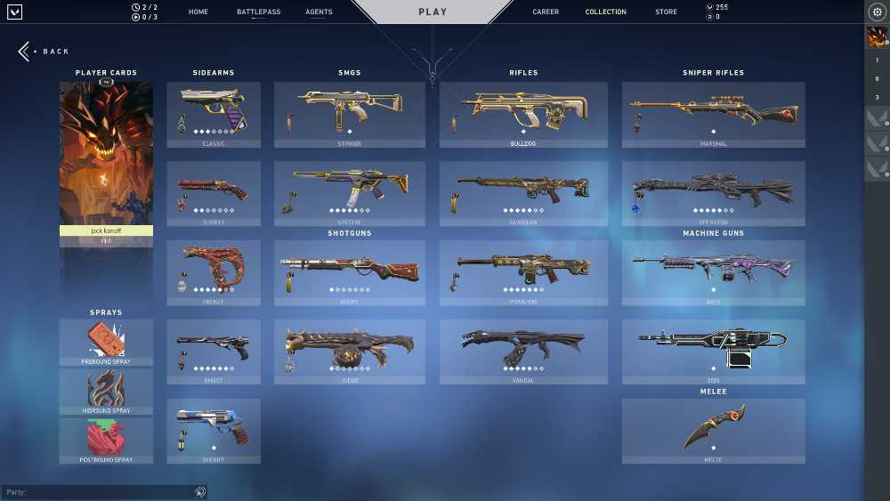 100+ Folder Full Of Valorant accs (Alot of skins) (INCLUDES ALL RANKS)