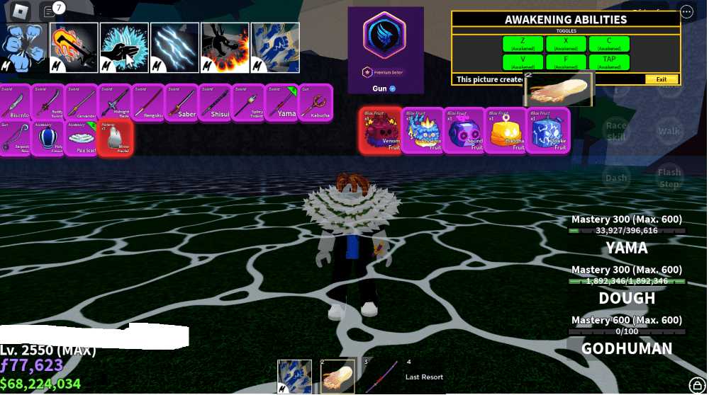 Blox Fruit | Level 2550 MAX |Race Human V3 | Awakening Dough | Godhuman ...