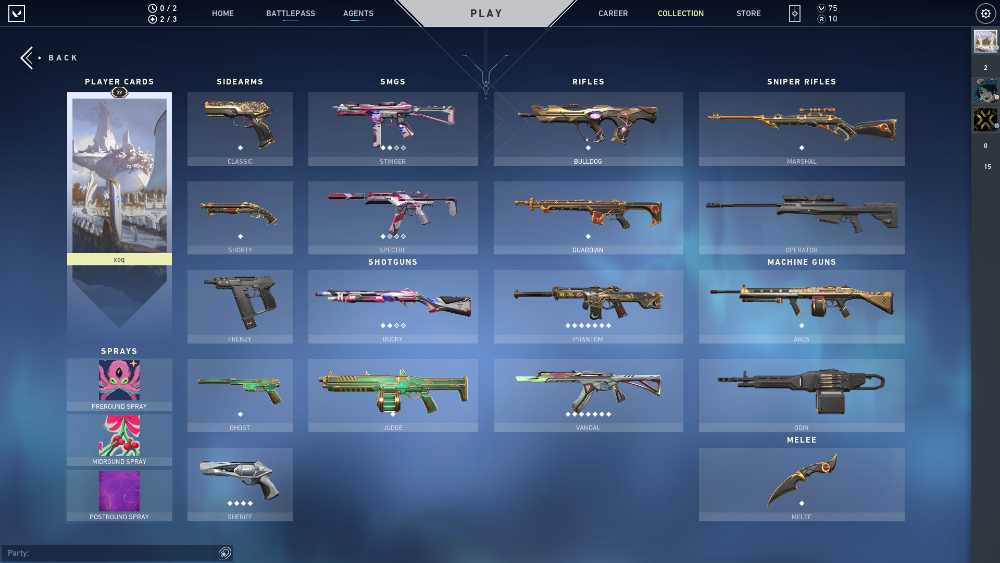 100+ Folder Full Of Valorant accs (Alot of skins) (INCLUDES ALL RANKS)