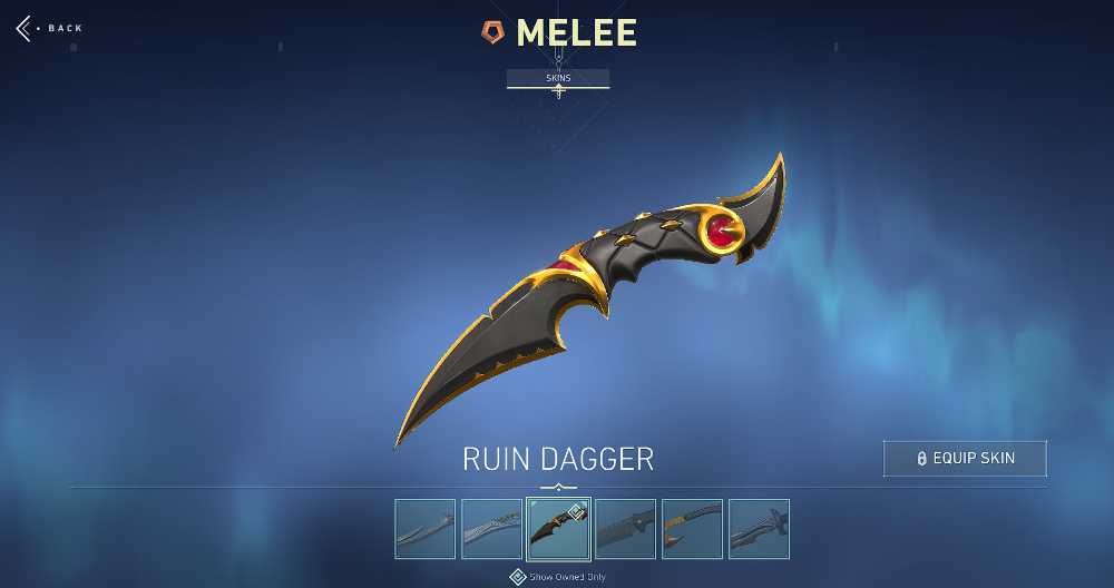 EU-TR 79 SKINS /Ruin Dagger - Reaver Knife - Sovereign Sword /Prime ...