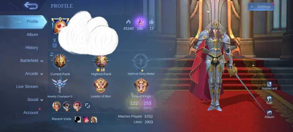 153 Skins. Max Hero + Emblems