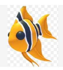 Mfr angel Fish ADOPT ME ROBLOX