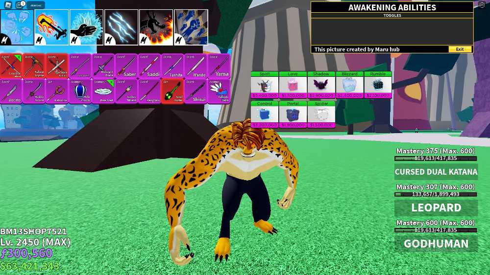 Blox Fruit Account Lv:2450Max | Awaken Leopard