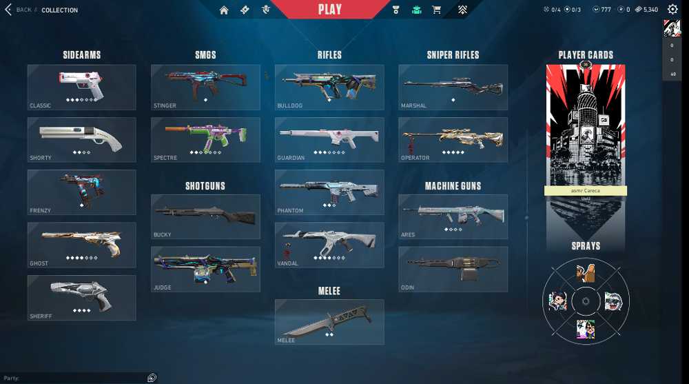 Brazil / 36 skins / Reaver Karambit / VCT LOCK//IN Misericórdia ...