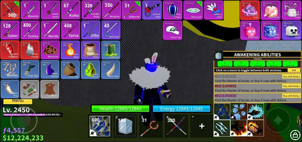Blox Fruit Account Lv:2450 | Full Awaken Ice | GodHuman | Rabbit/Mink ...