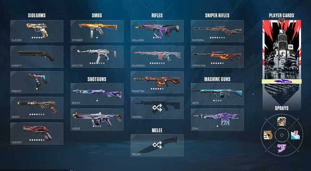 (EU) Valorant account with alot of skins (Ignite fan)