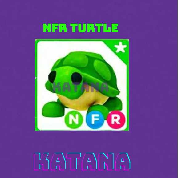 NFR TURTLE