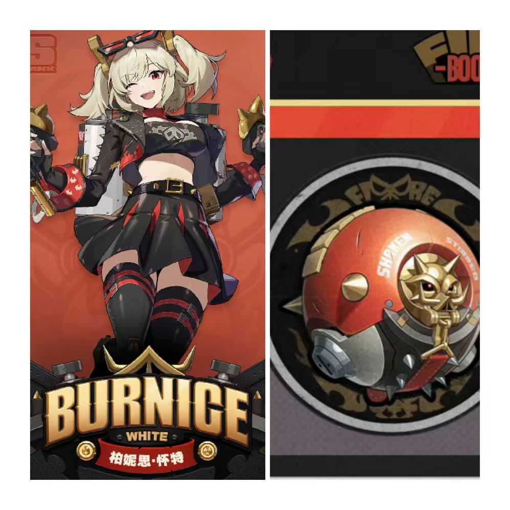 [Asia]Burnice+Burnice Weapone 4-starcharacter|Rating 4-10|Fast delivery